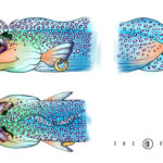 FISH FILLETS 2 – Preview Visiongame Visiongame