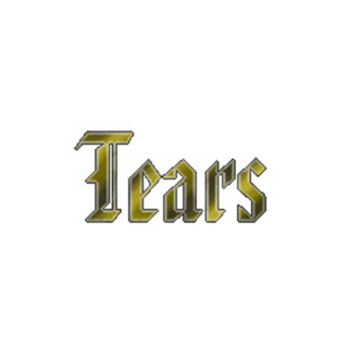 Tears | Visiongame