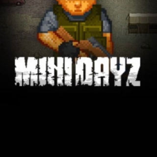 Mini DAYZ | Visiongame