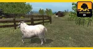 VR Zoo & Farm | Visiongame