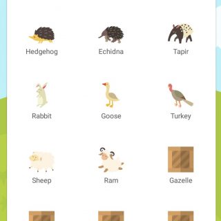 Pocket Animal GO | Visiongame