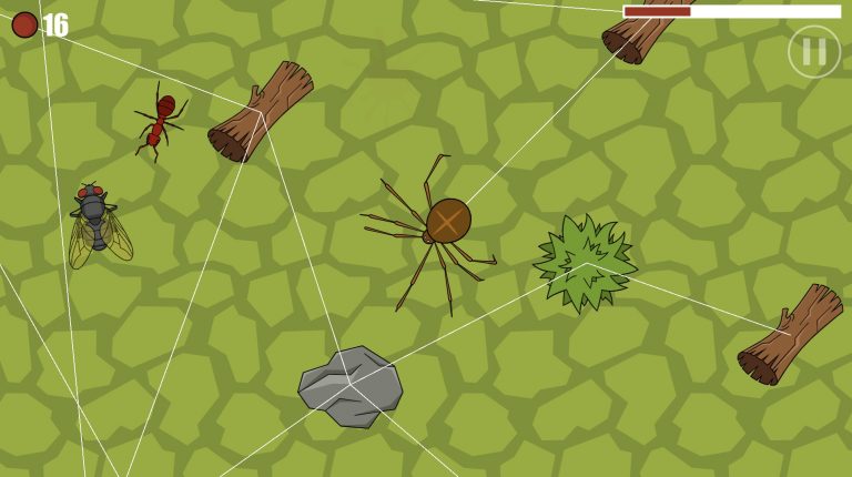 SpiderLand | Visiongame