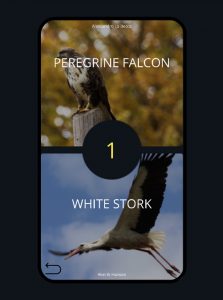 Who is faster? | Visiongame