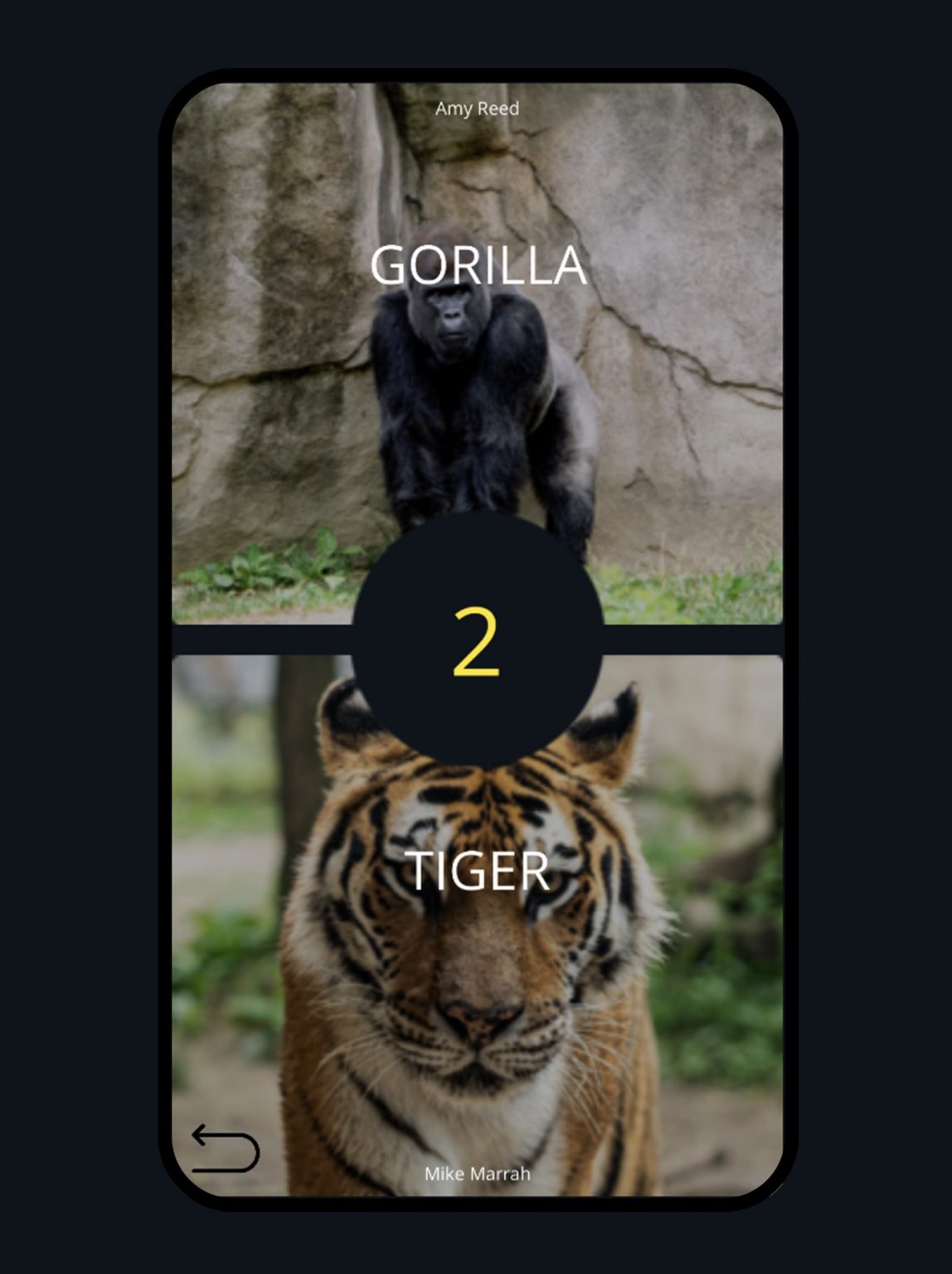 Who is faster? | Visiongame