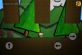 Lost Owl | Visiongame