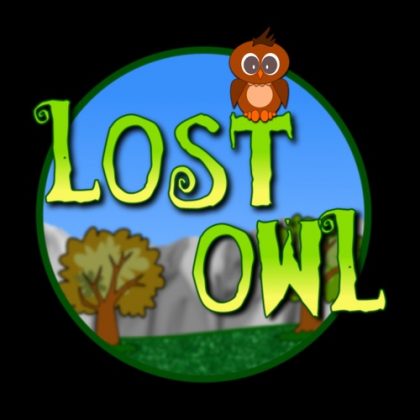 Lost Owl | Visiongame